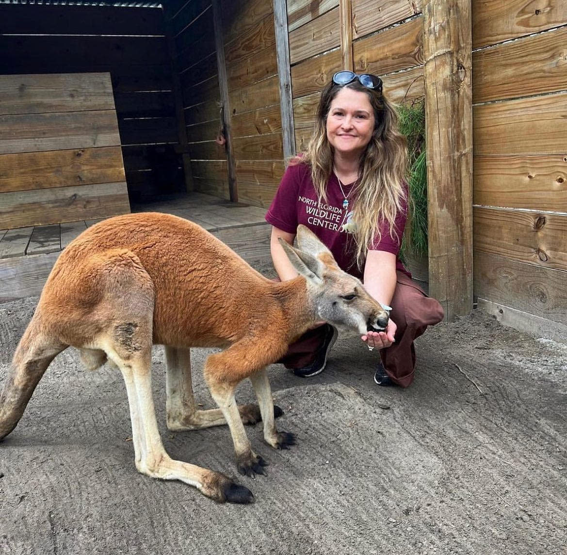 North Florida Wildlife Center in Lamont | VISIT FLORIDA