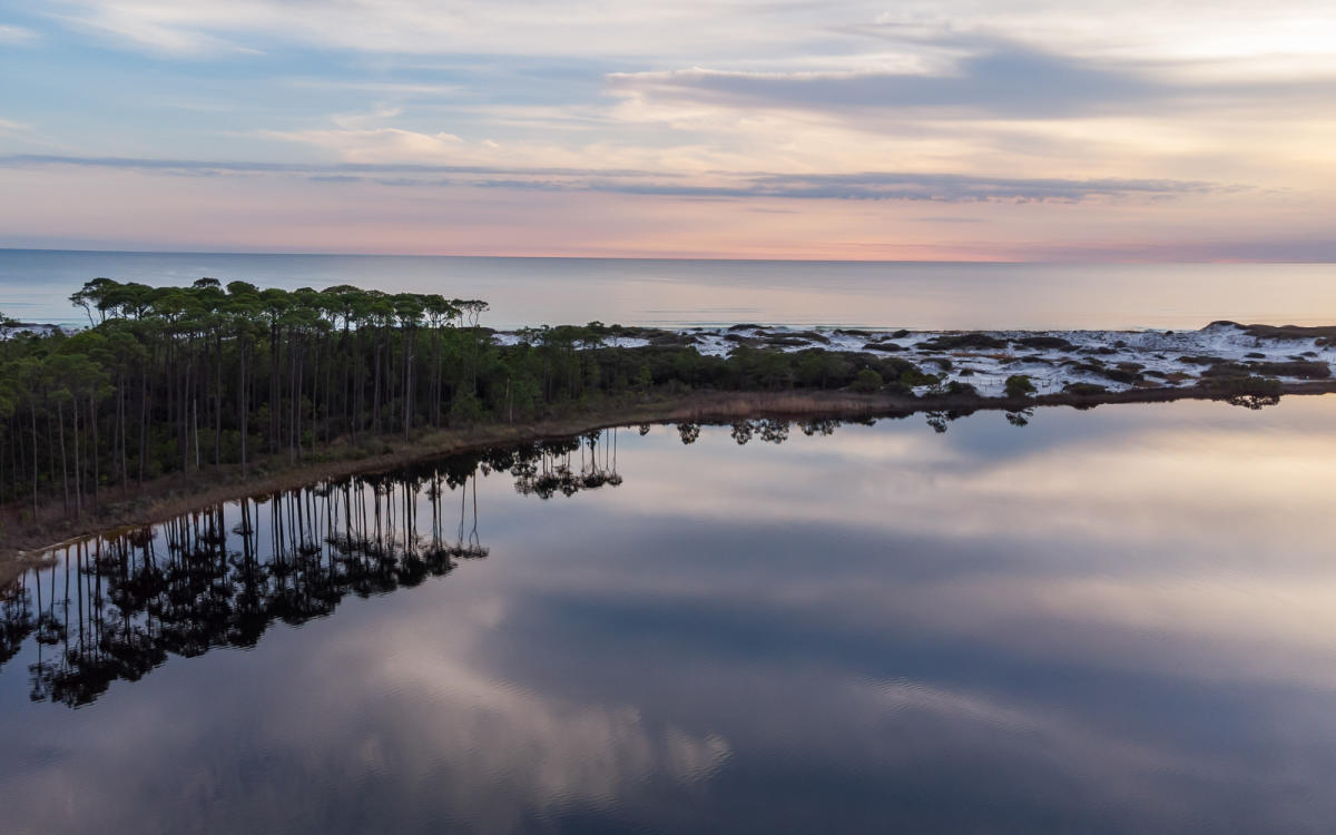 Oversee in Santa Rosa Beach | VISIT FLORIDA