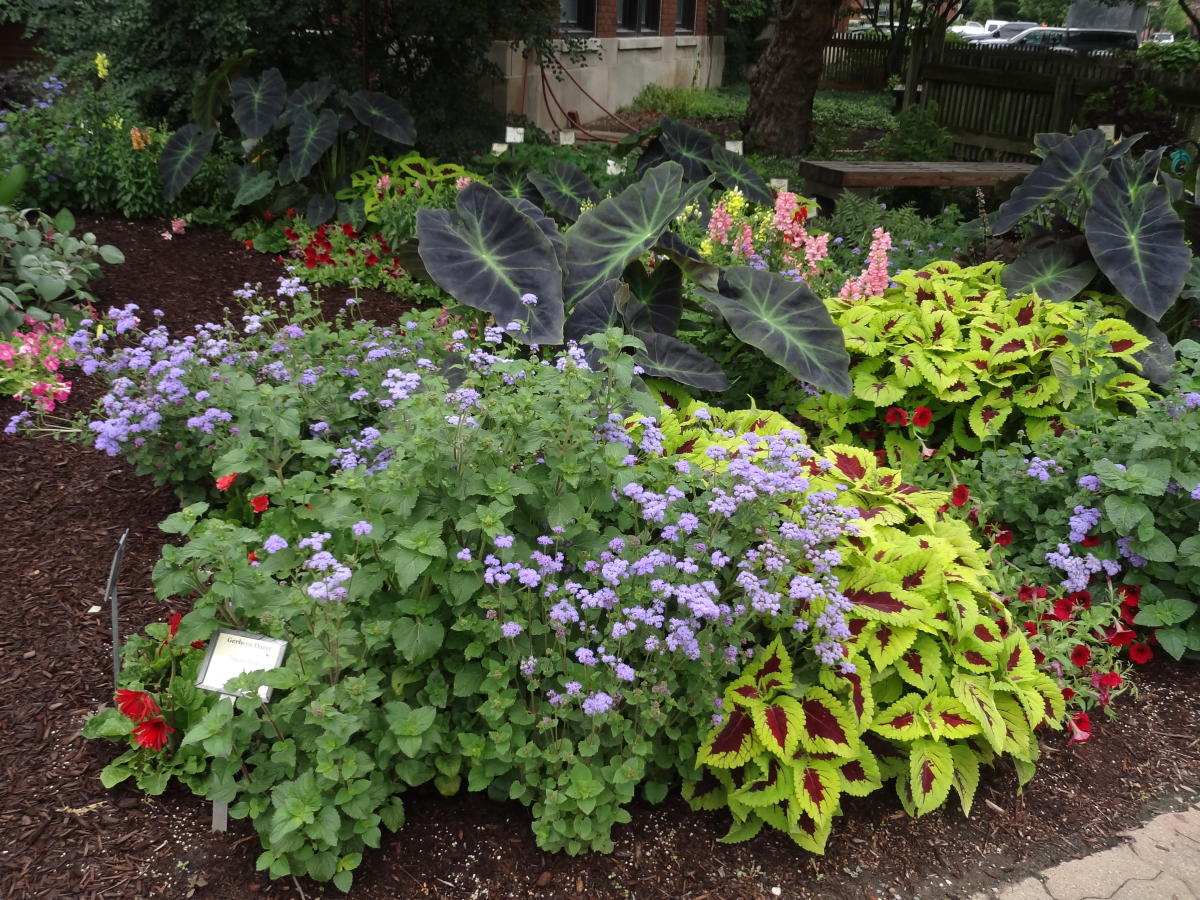 Jules Janick Horticulture Garden, Purdue University