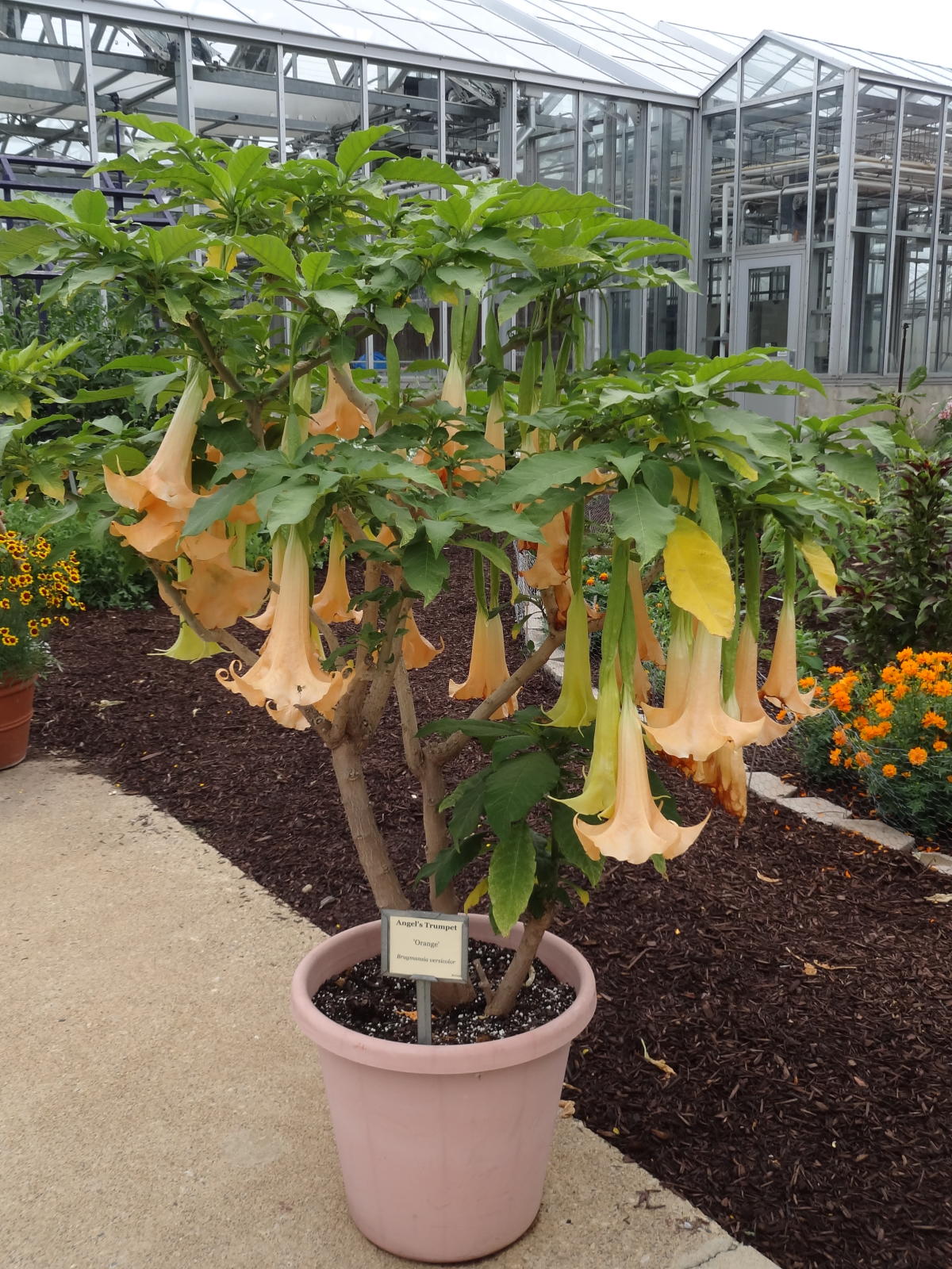 Jules Janick Horticulture Garden, Purdue University