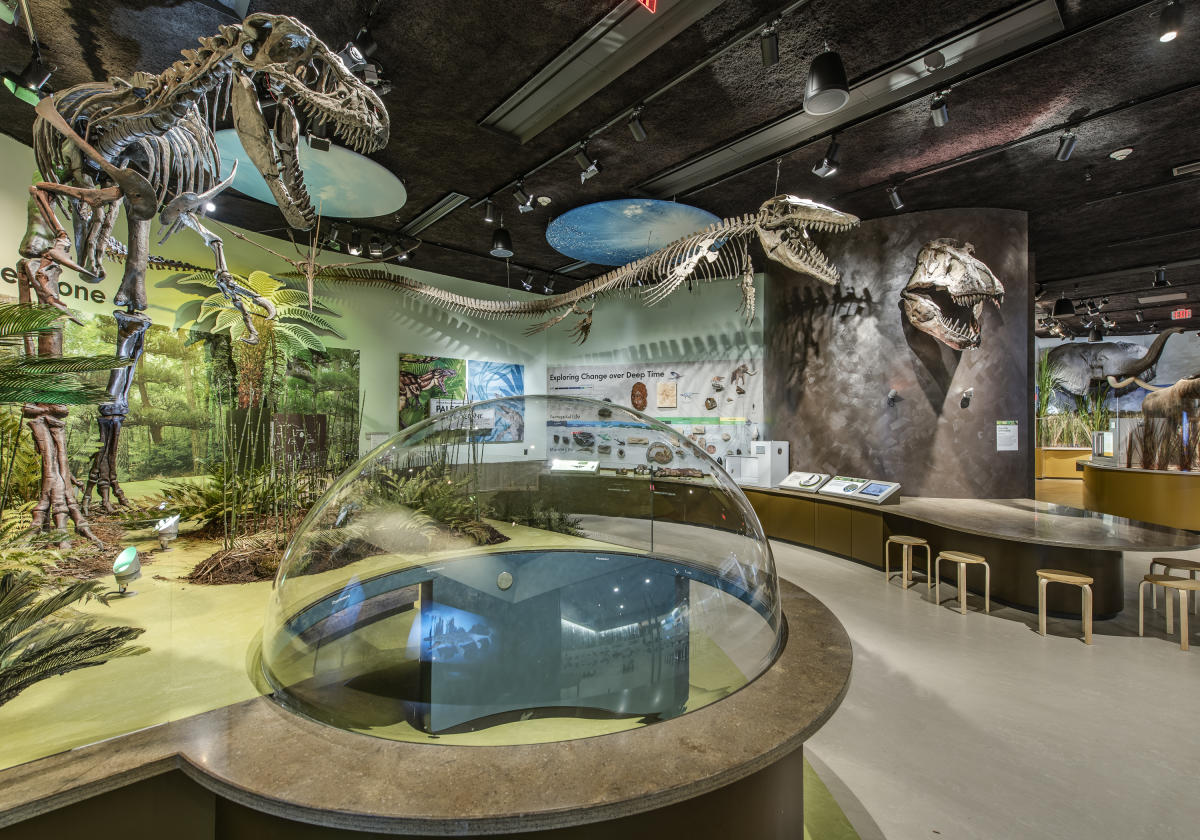 Delaware Museum of Nature and Science | Wilmington, DE 19807