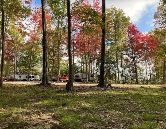 caper tree campground