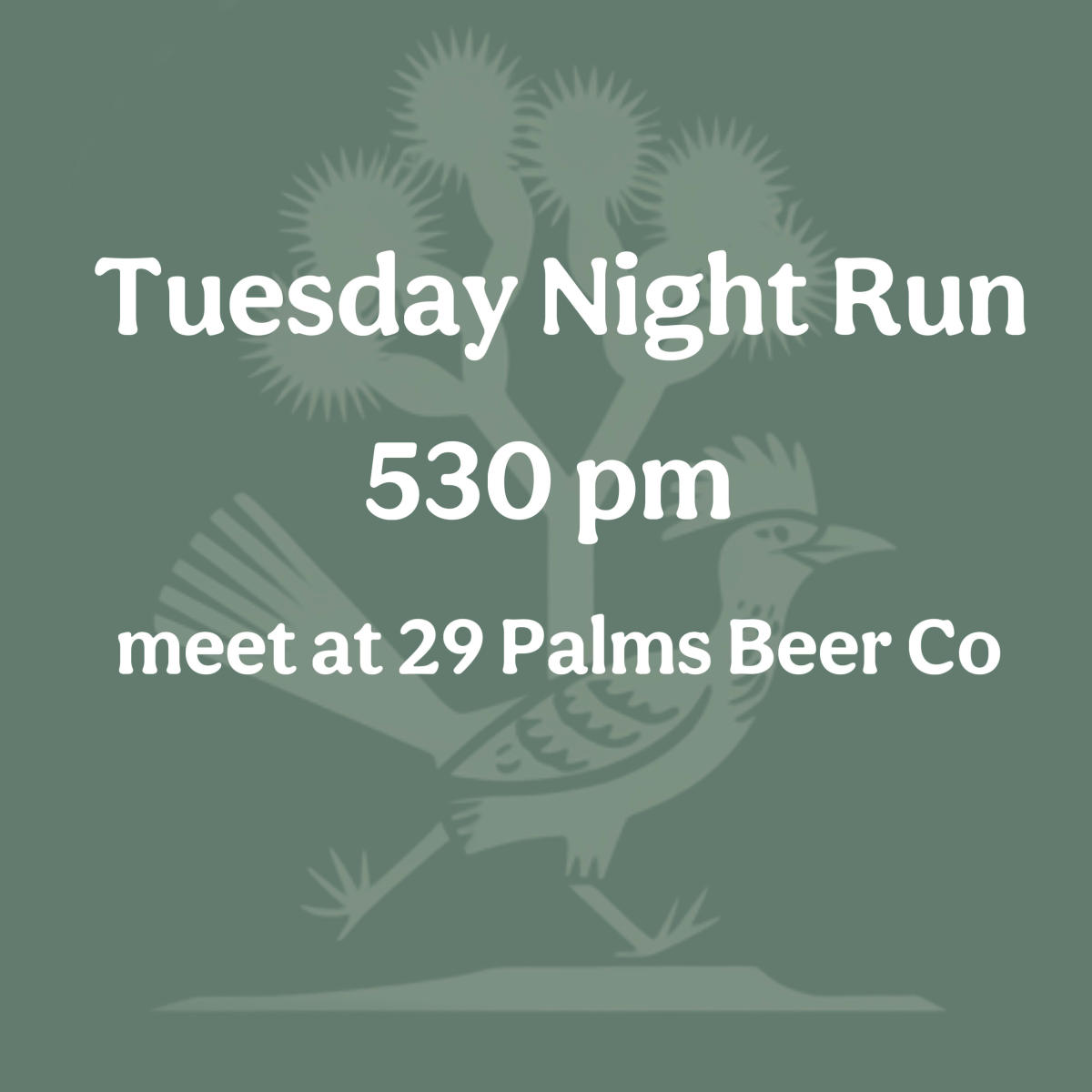 Twentynine Palms Run Club Tuesday Night Run