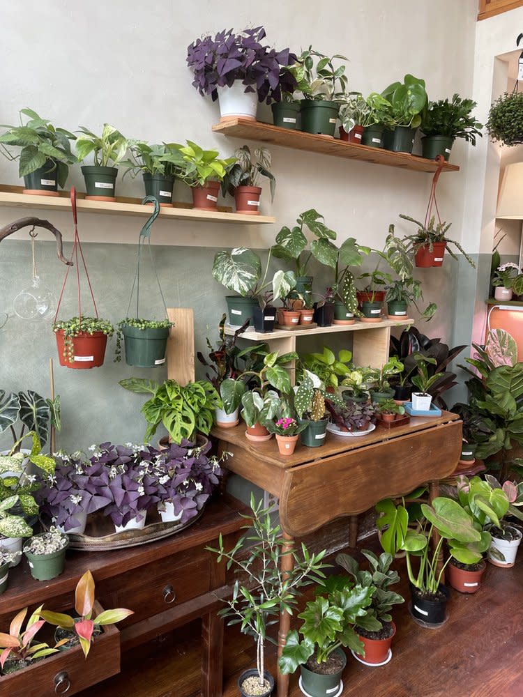 Memory Plants | Oakland, CA