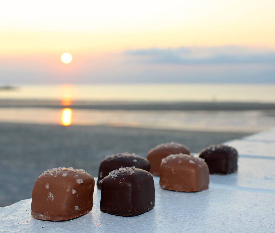 Hot Chocolate Sparrow