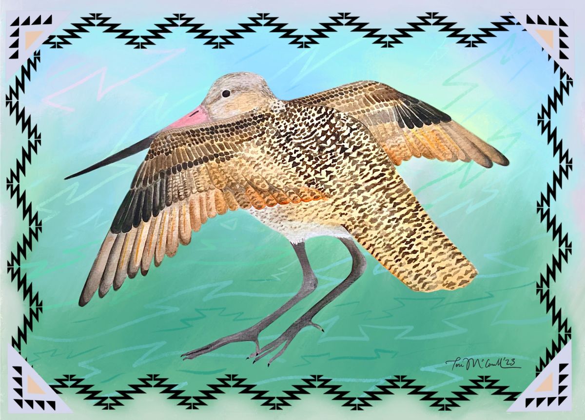 Godwit Days Spring Migration Bird Festival