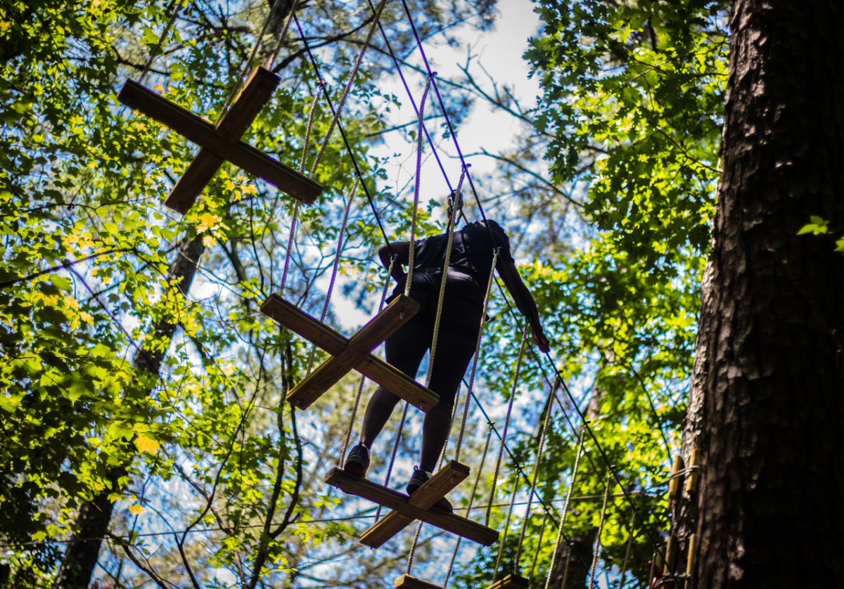 Go Ape Treetop Adventure & Treetop Journey | Raleigh, NC 27614