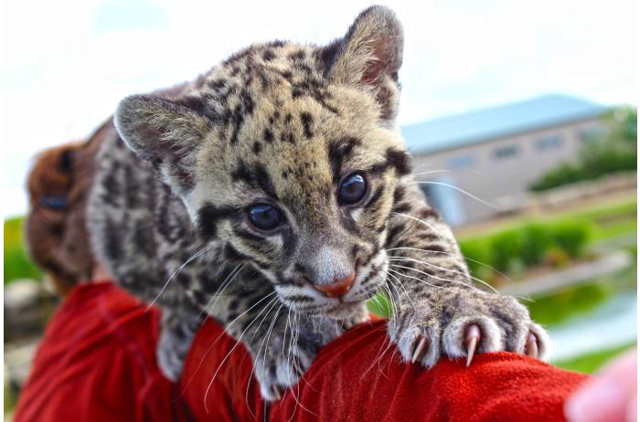 Tanganyika Wildlife Park