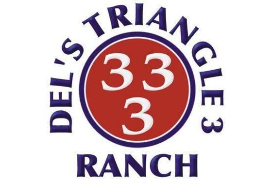 Del's Triangle 3 Ranch | Horseback Riding Outfitters & Ranches | Clark, CO
