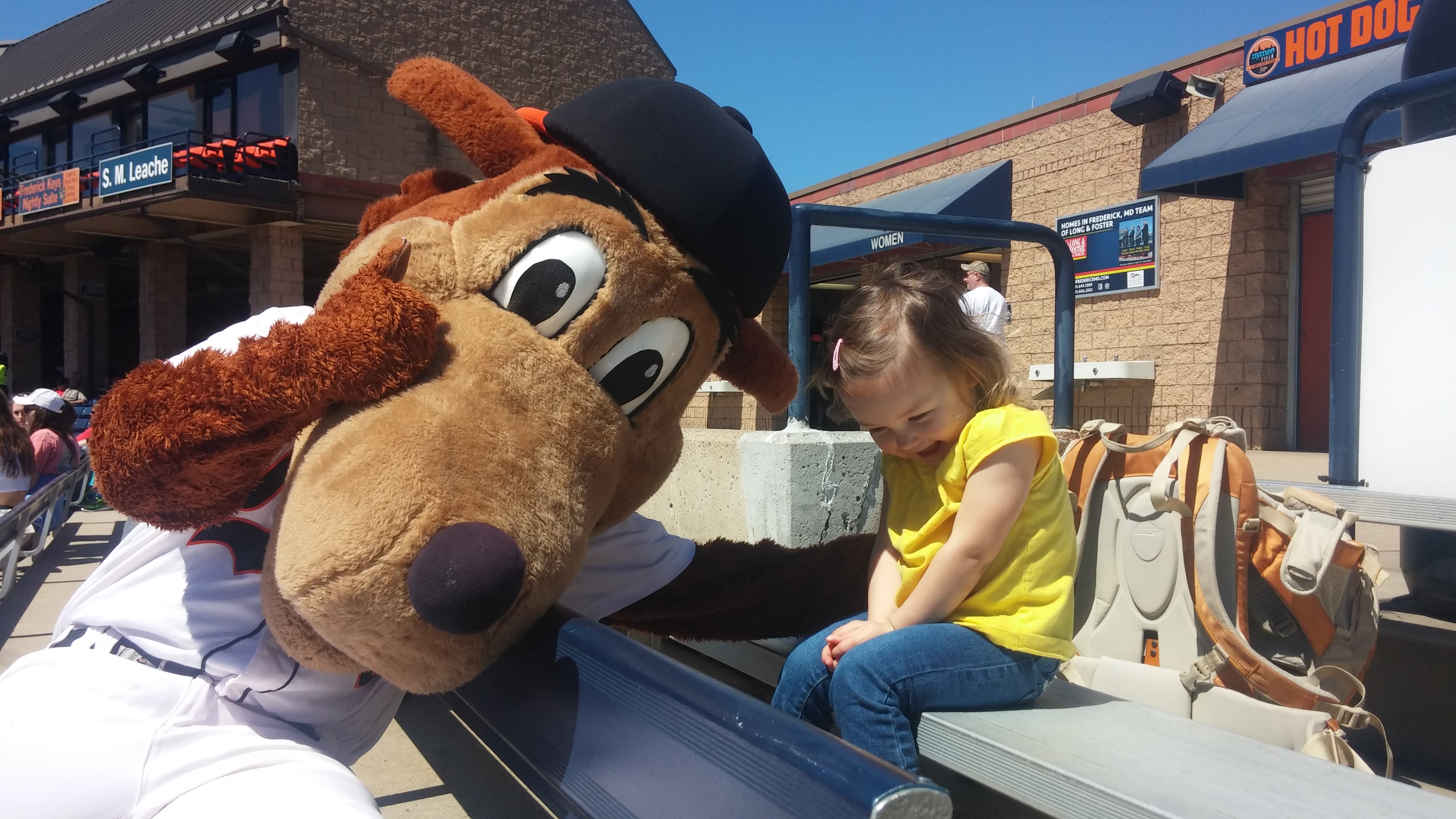 Frederick Keys Baseball | Frederick, MD 21703