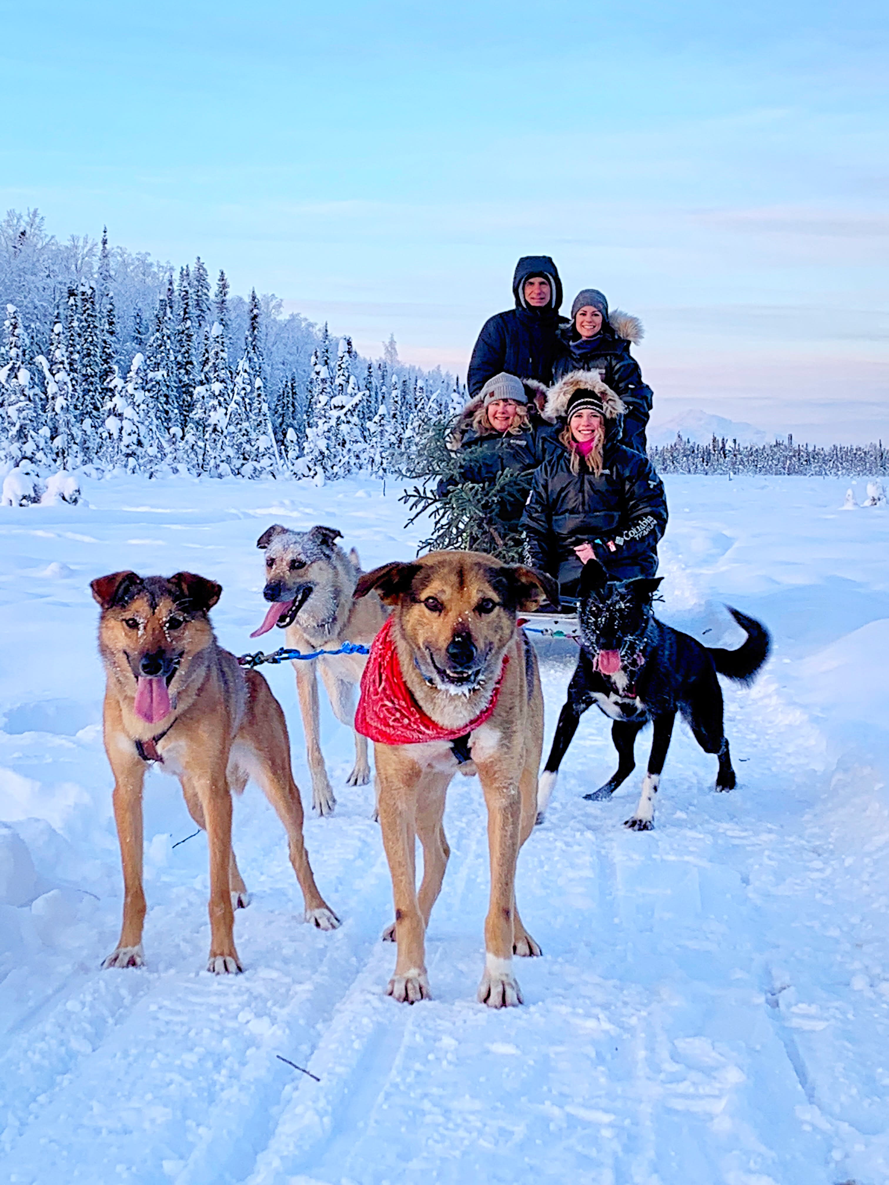Alaskan Husky Adventures