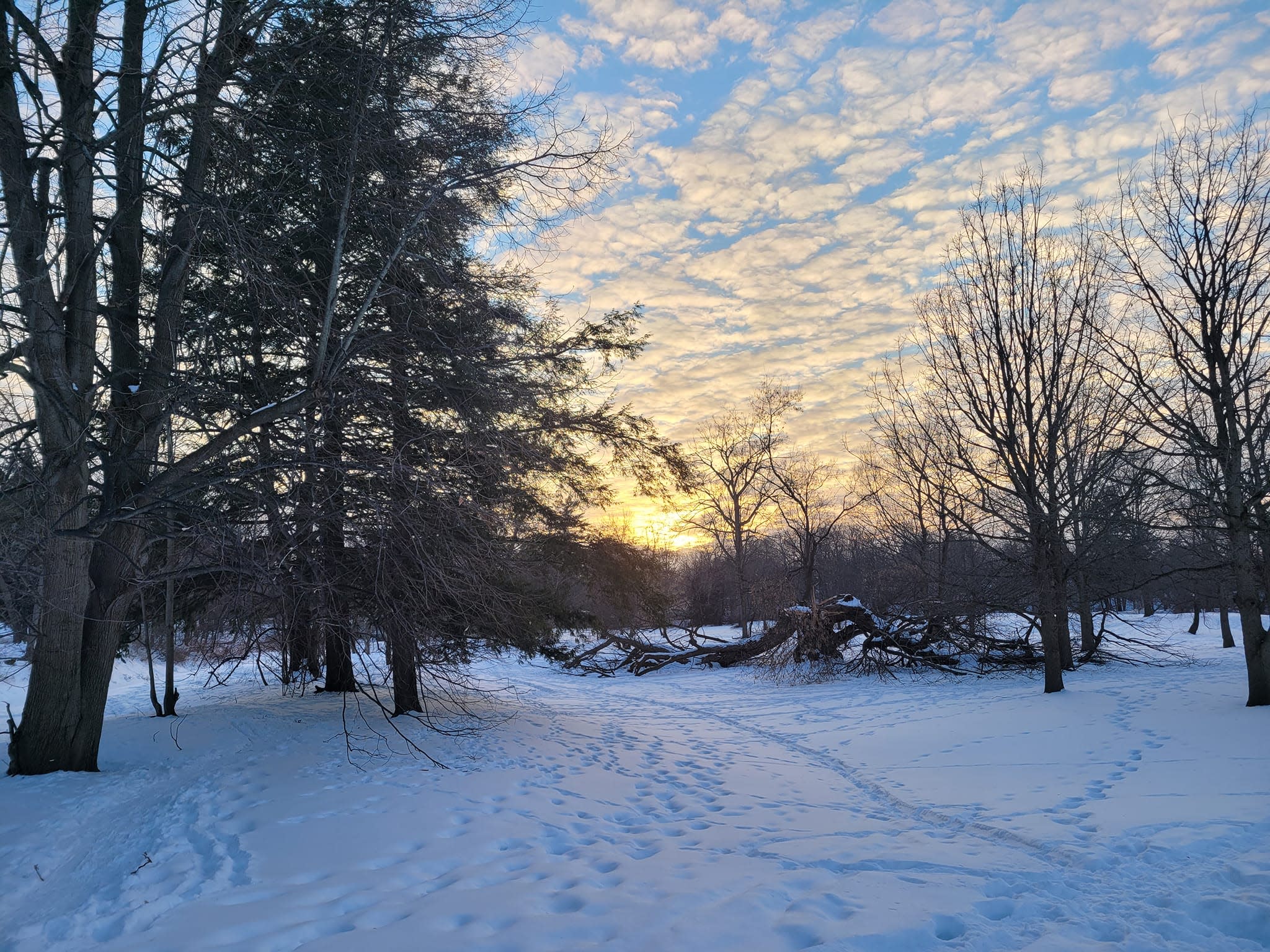 Como Lake Park | Lancaster, NY 14086