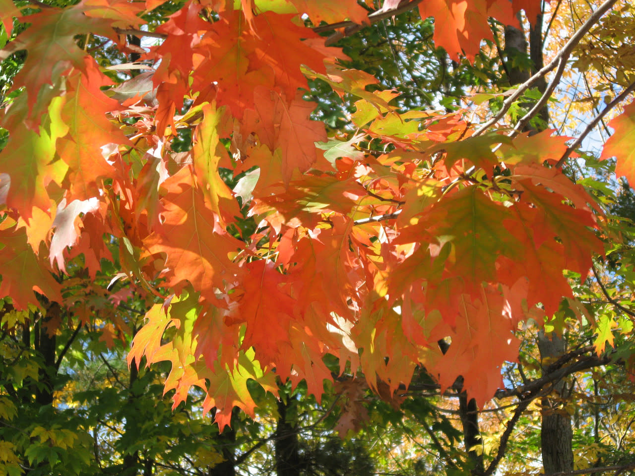 Frank Lloyd Wright's Graycliff | Derby, NY 14047