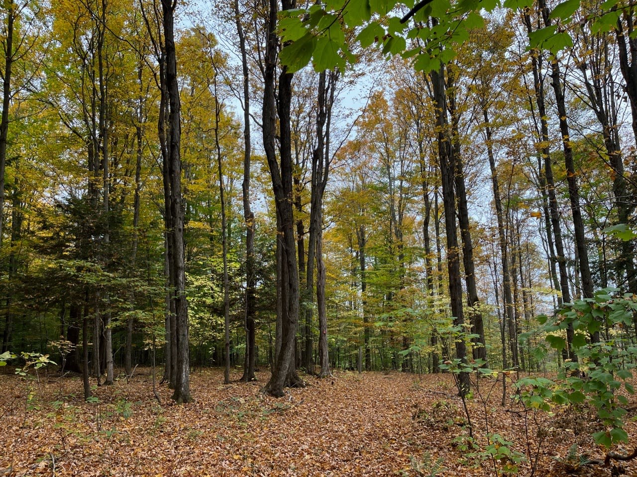 Landis Arboretum | Esperance, NY 12066