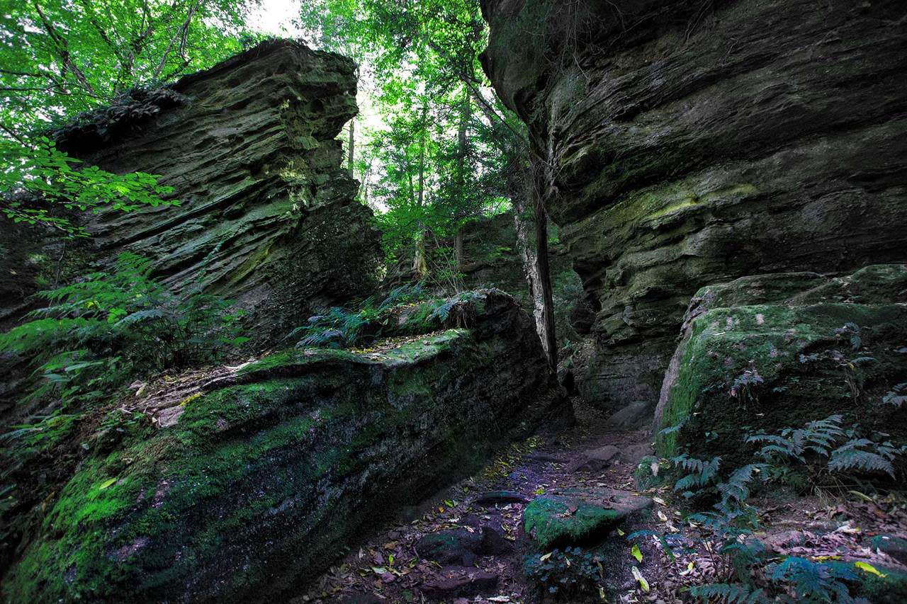 Panama Rocks Scenic Park | Panama, NY 14767