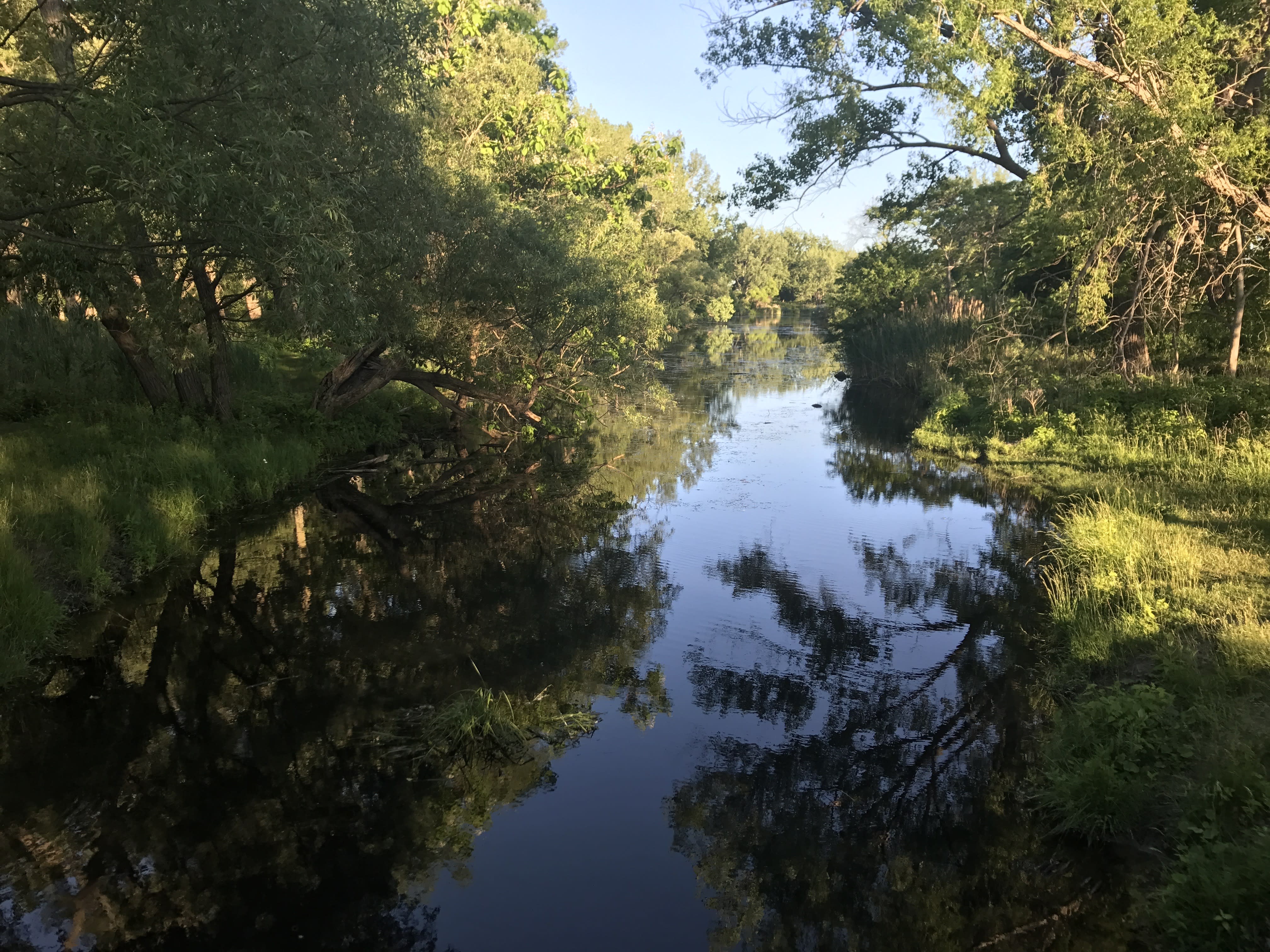 Tifft Nature Preserve | Buffalo, NY 14203