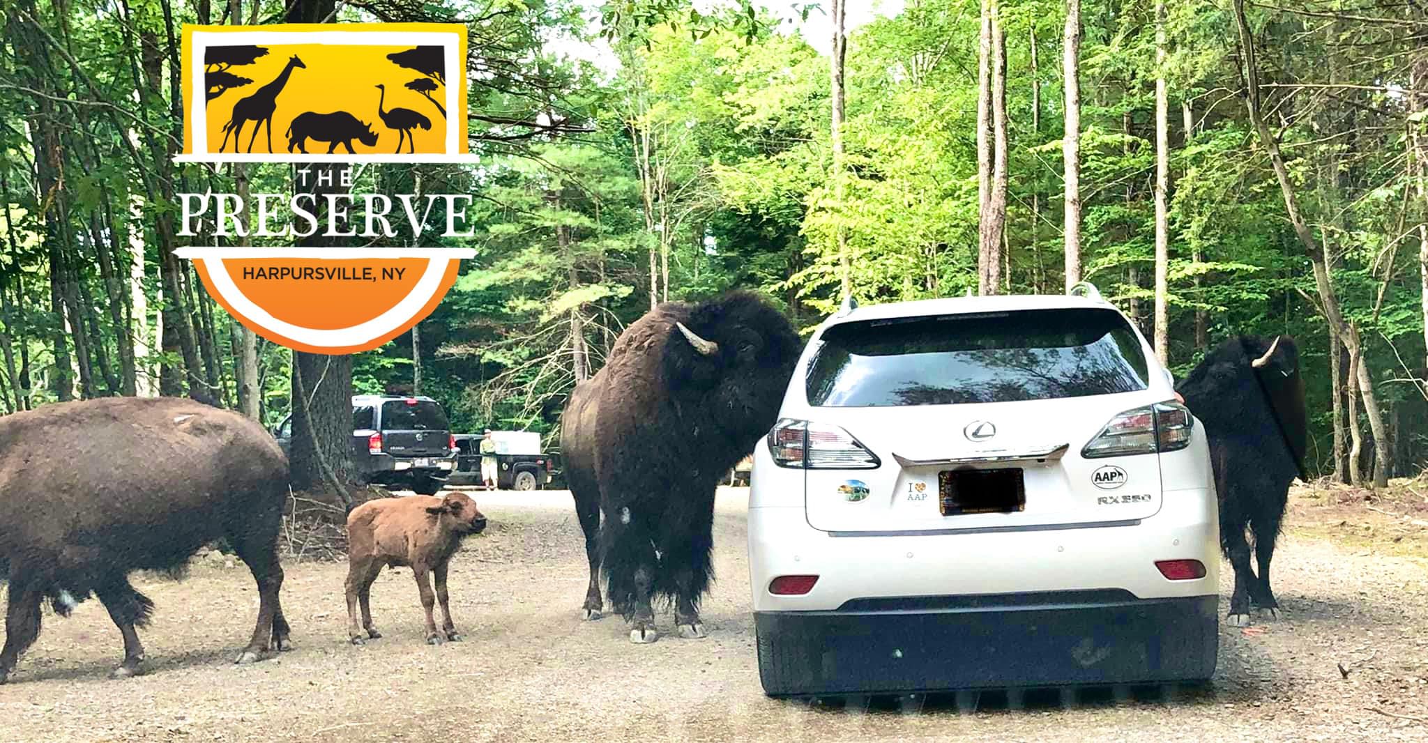 The Preserve at Animal Adventure | Harpursville, NY 13787