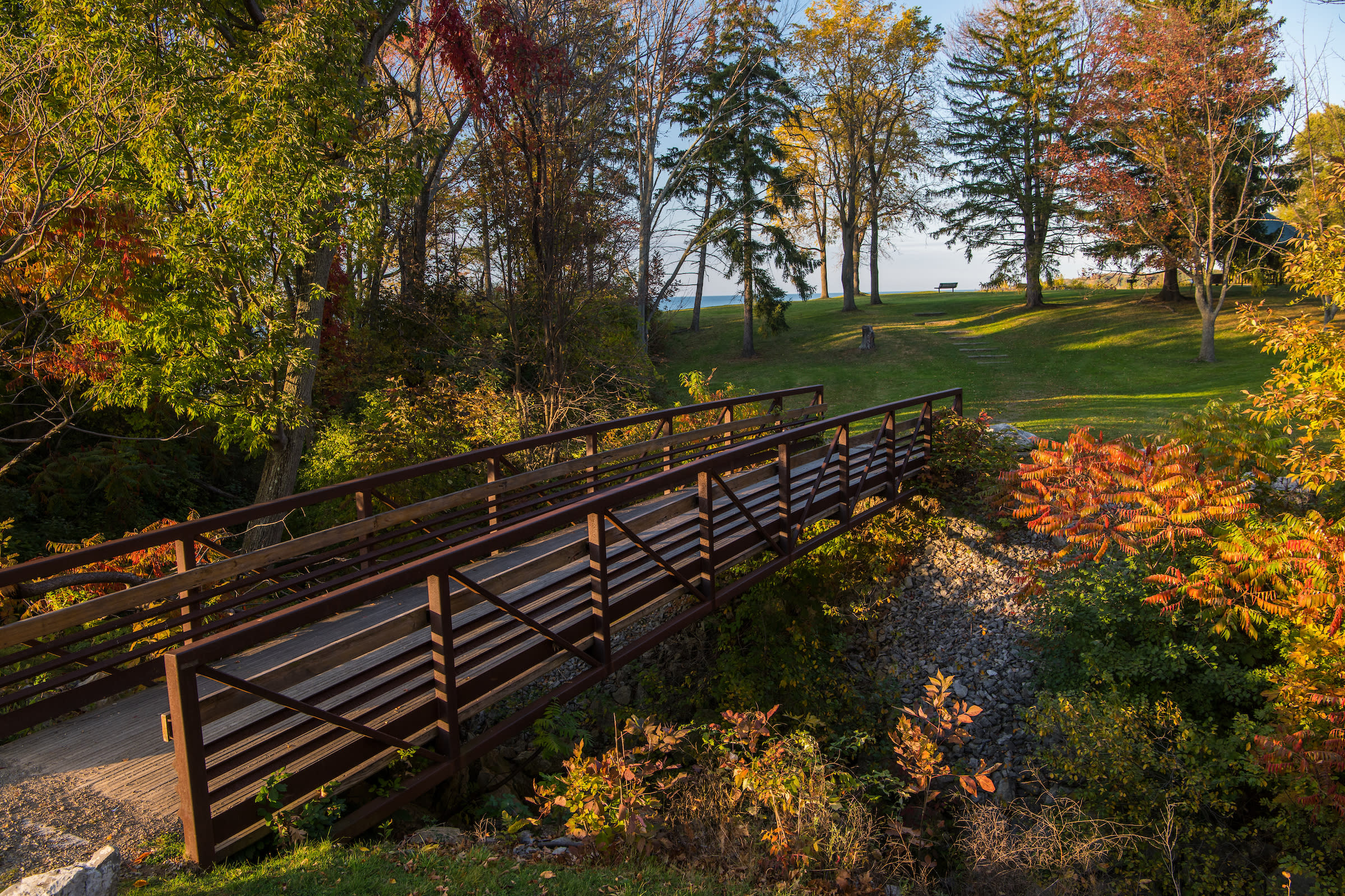 Are Dogs Allowed At Erie Sate Park