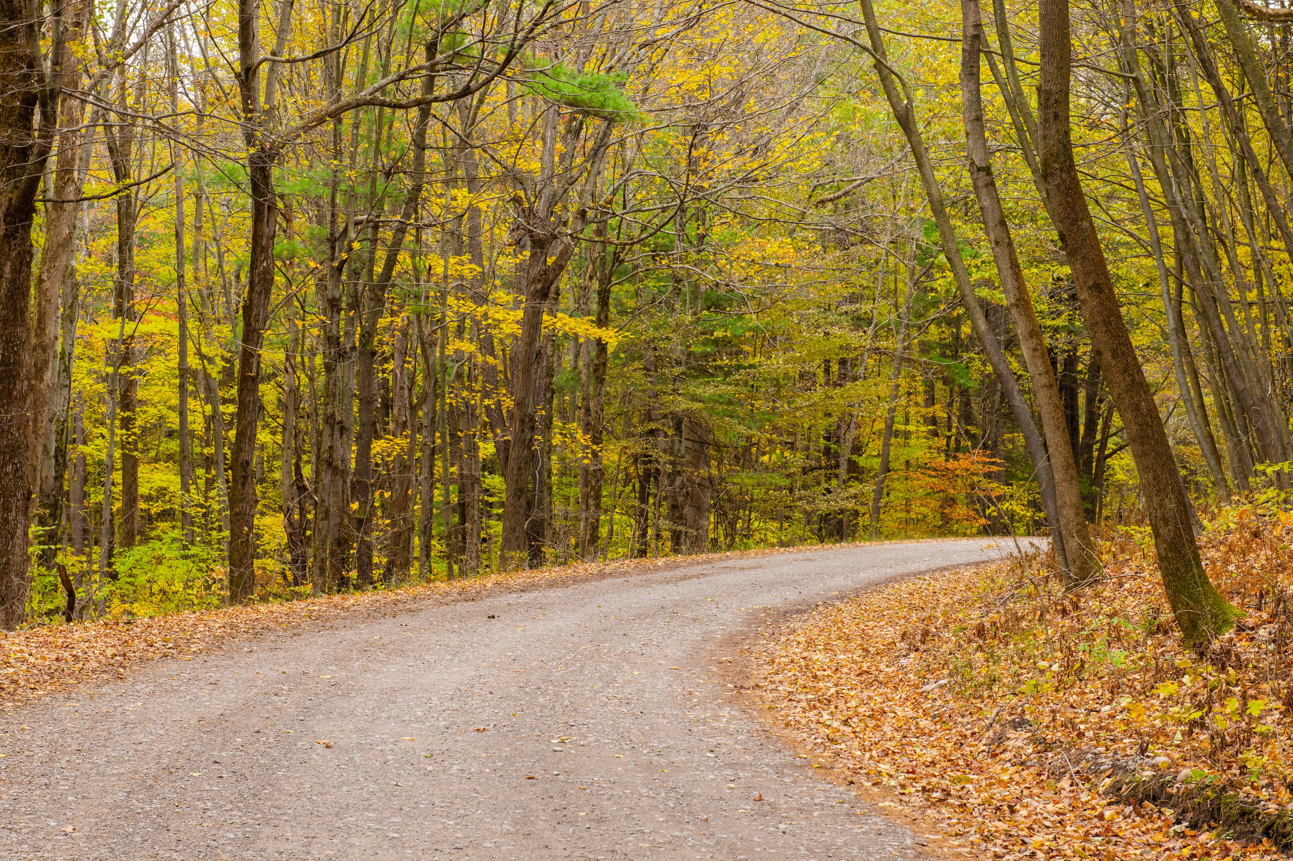 Harriet Hollister Spencer State Recreation Area | Springwater, NY 14560