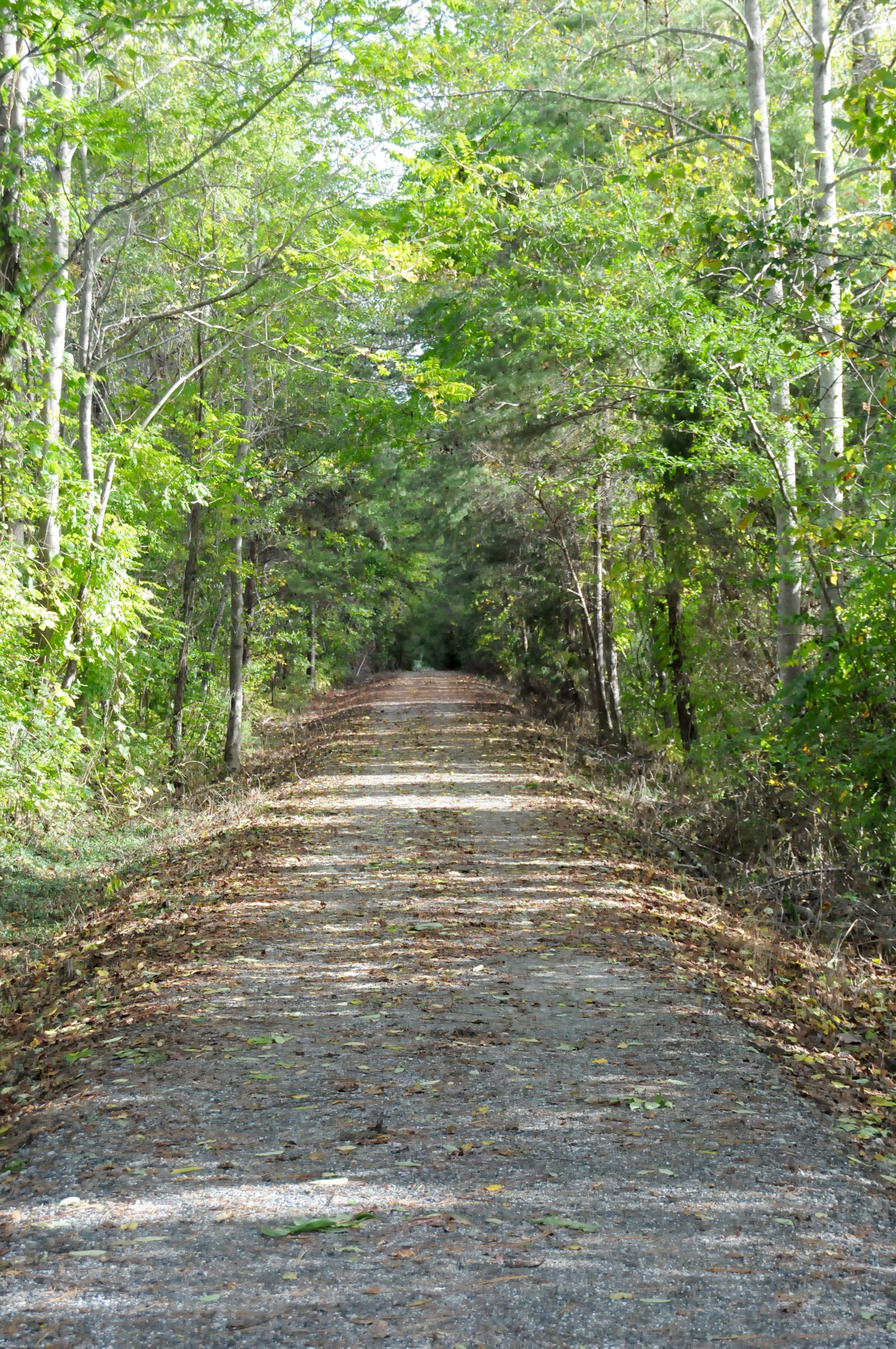 Thermal Belt Rail Trail