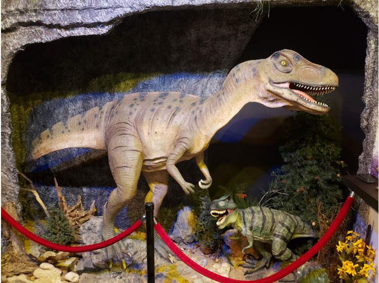 Creation Museum of The Ozarks