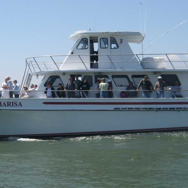 va beach charters