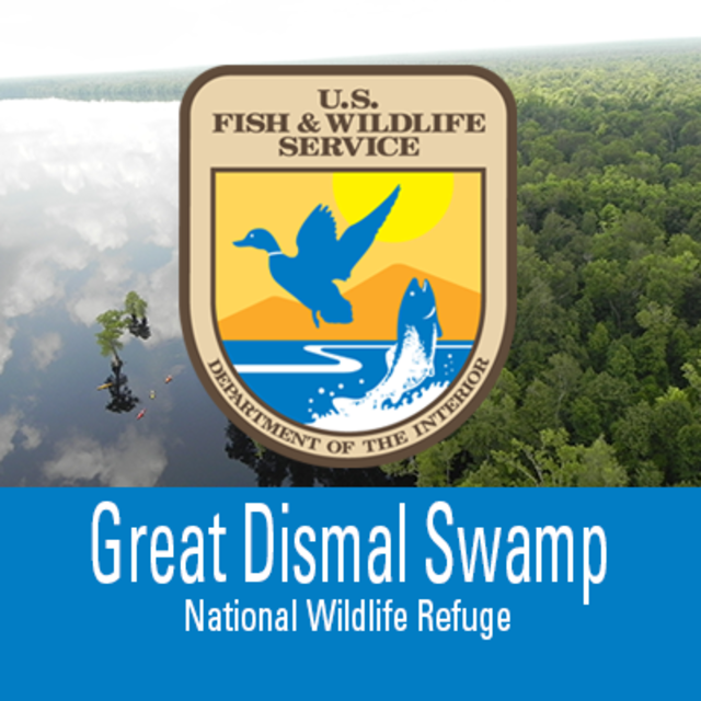Great Dismal Swamp National Wildlife Refuge | Visit Virginia Beach