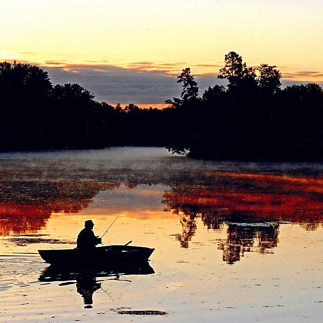 Stevens Point Area Hotels, Restaurants, Events & Things to Do