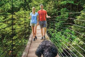 The Ultimate Guide to the Outdoors in Greenville | Greenville, SC