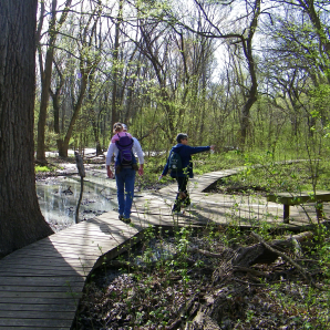 Visit McKinney | Official Website