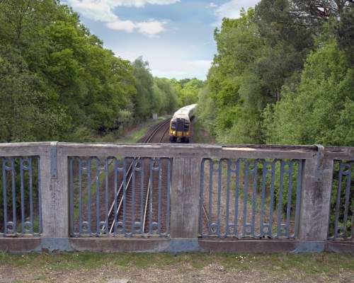 Visit the New Forest | National Park | Official Tourism Board