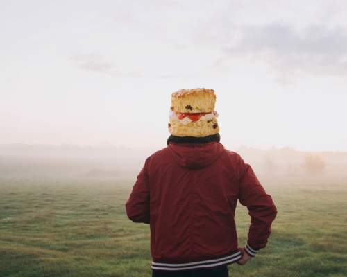 Festivals in Devon