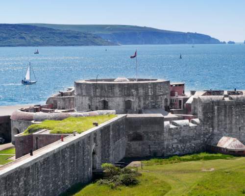 Visit the New Forest | National Park | Official Tourism Board