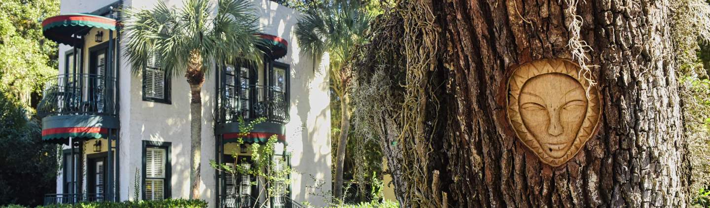 faces in trees st simons