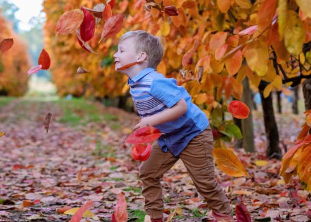 An Autumn Day in the Perth Hills | Destination Perth