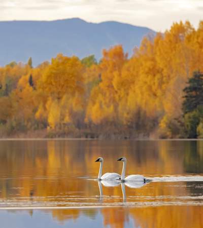 Visit Anchorage, Alaska Blog | Trips Ideas, Itineraries & Guides