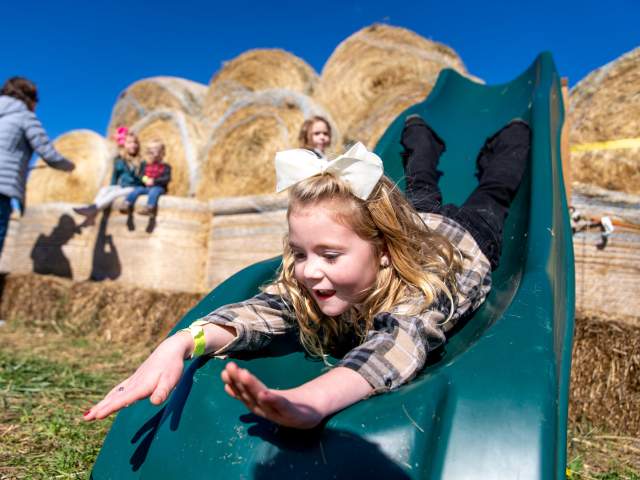 Welcome To Page Valley, VA | Virginia's Cabin Capital