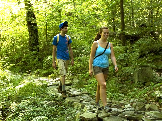 Cumberland Valley Summer Activities