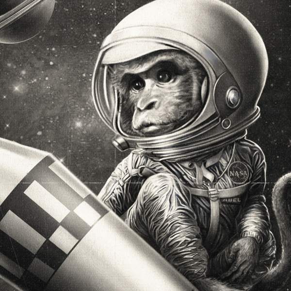 astronaut chimp