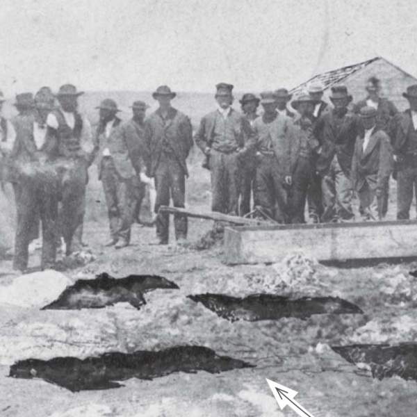 outlaws south staffs