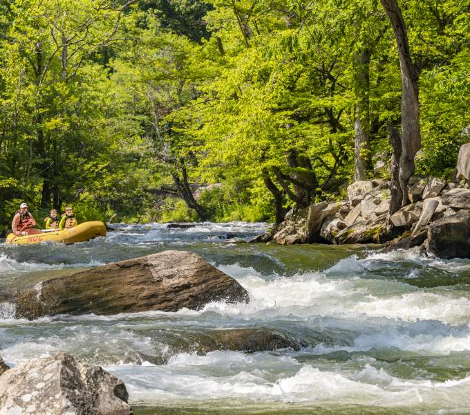 Nantahala Forest Nantahala National Forest Guide