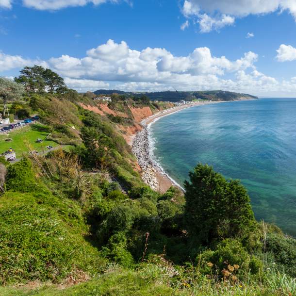 Three Walks to Help you Explore Seaton