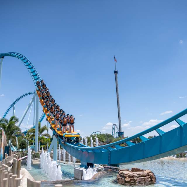 SeaWorld, Discovery Cove & Aquatica | Orlando Theme Parks