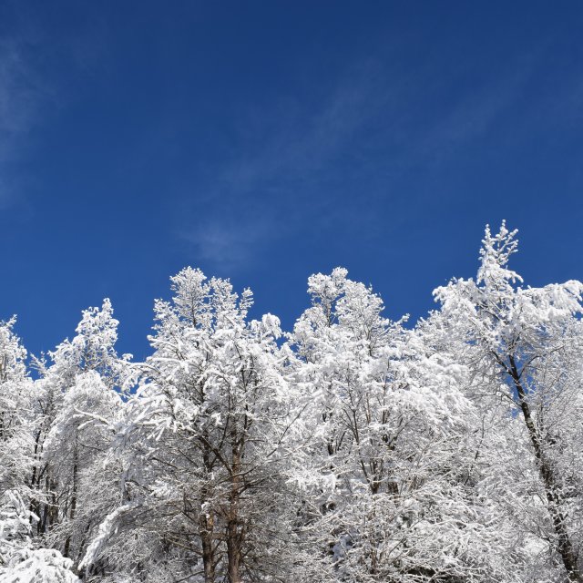 Poconos Weather | Current Forecast