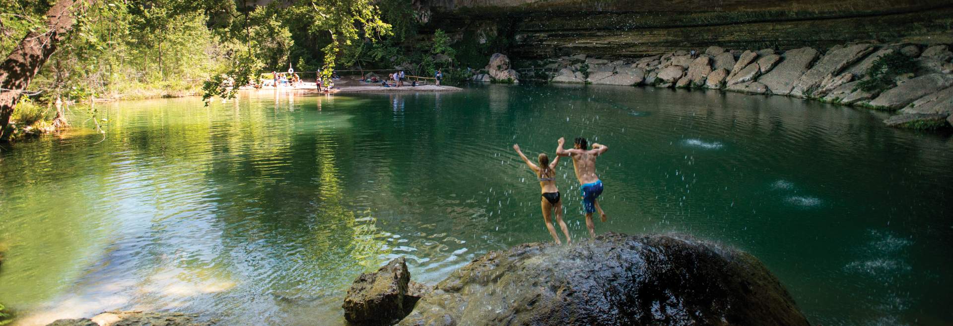 hamilton pool companies