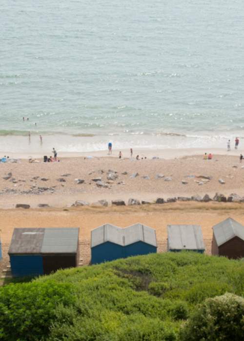 Explore The New Forest and Hampshire - Visit The New Forest