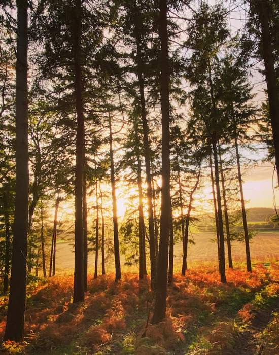 Discover the beautiful South Downs National Park in Sussex