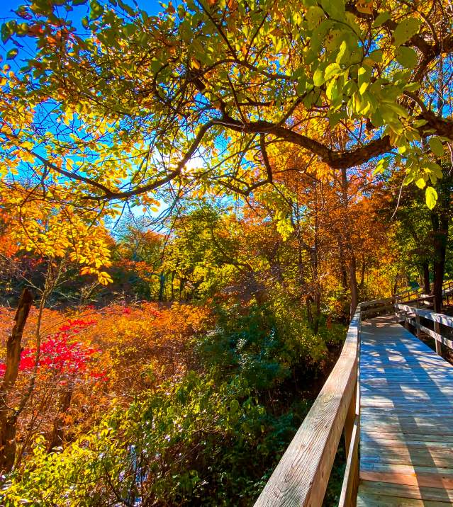 Long Island State Parks & Reserves | Discover Long Island