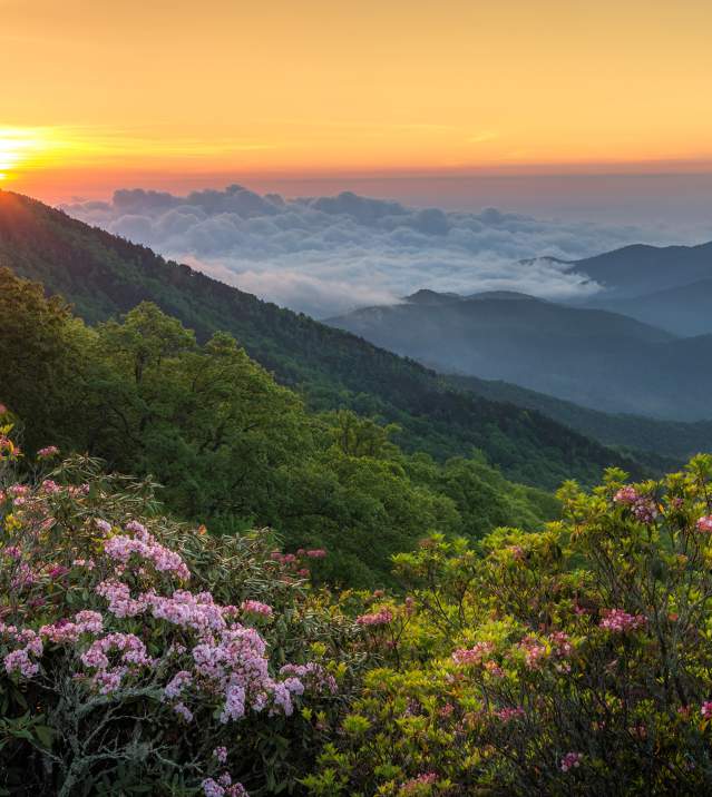 Shenandoah National Park | Hikes, Events & Horseback