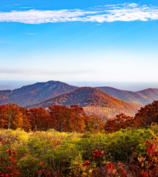 Shenandoah National Park | Lodging & Activities